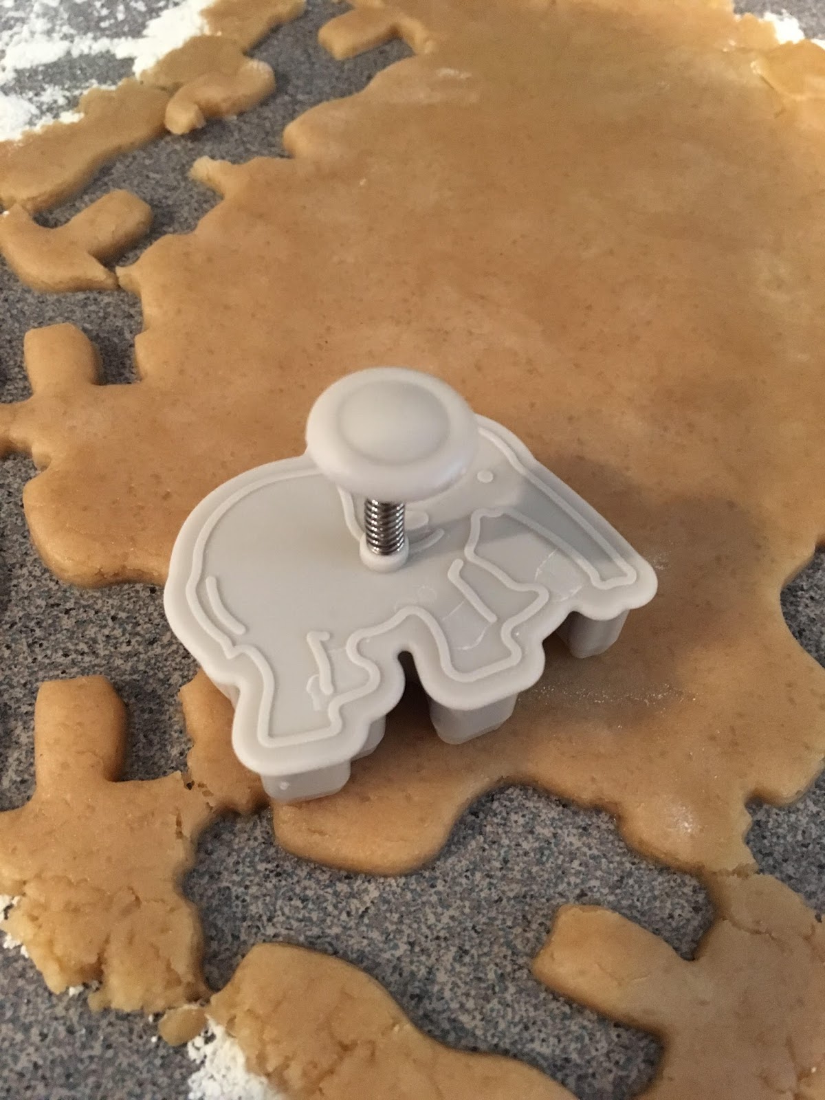 Someone’s In the Kitchen with FPIES: Animal Cookies/Crackers – The ...